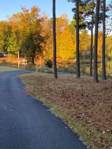 The Palest Ink – The strongest memory is weaker than the palest ink. I ...